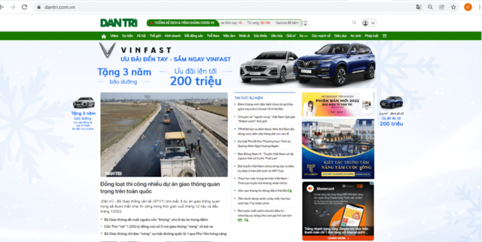 VINFAST (VINGROUP) - Background U